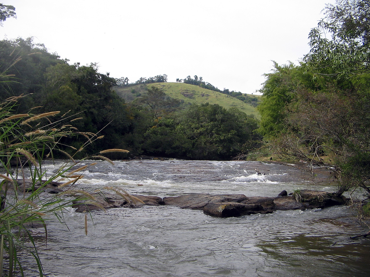 O Parque Estadual do Rio do Peixe abriga uma diversidade grande da ...