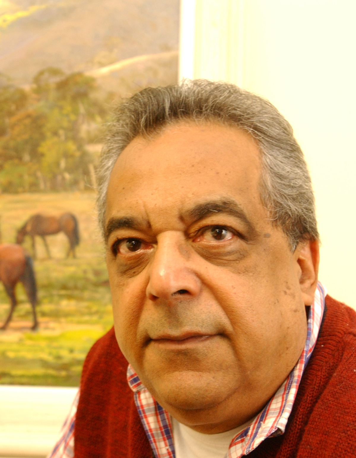 As paisagens brasileiras de Luiz Pinto se constituem numa verdadeira ...