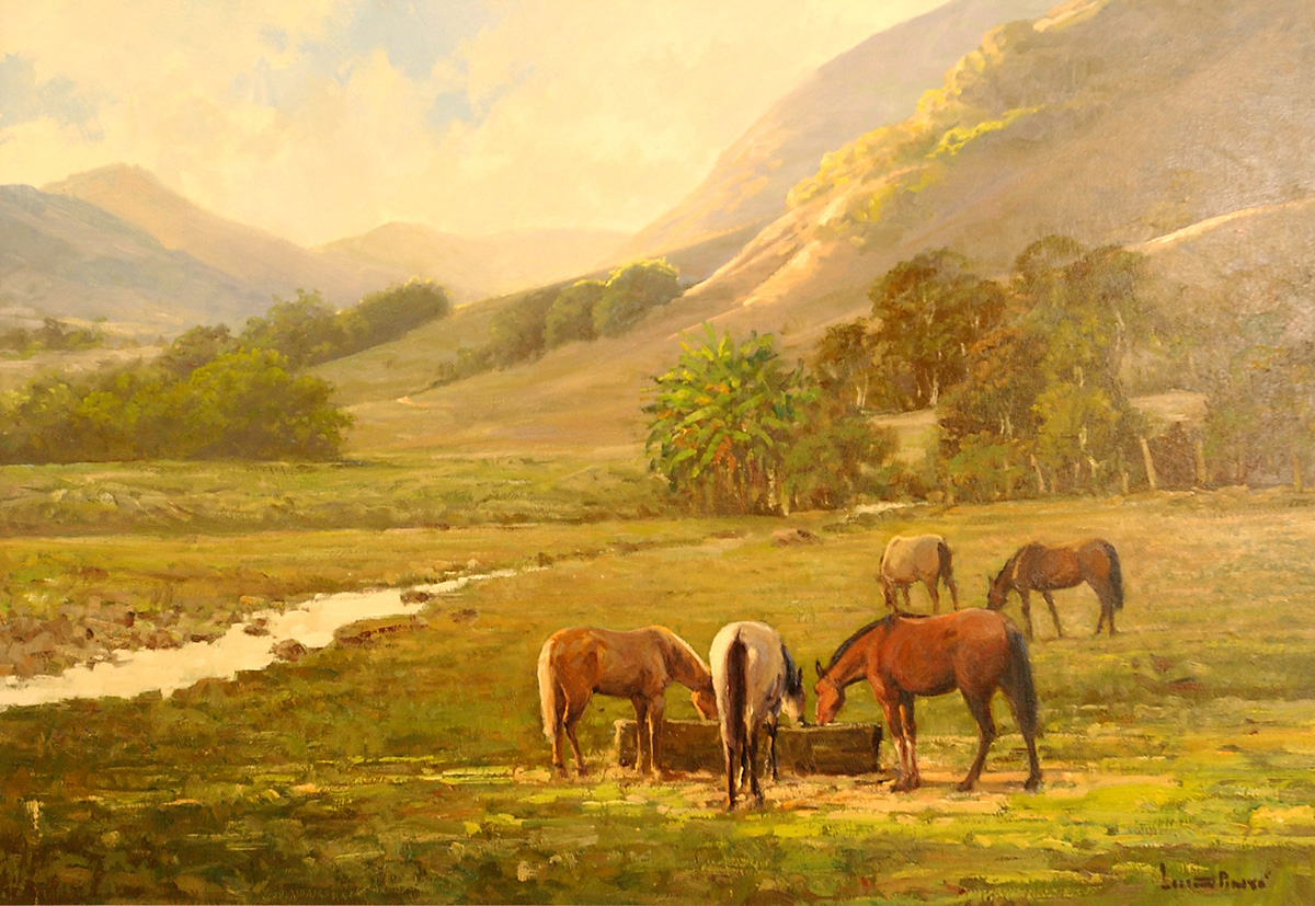 Museu de Arte - Luiz Pinto transforma as paisagens brasileiras em ...