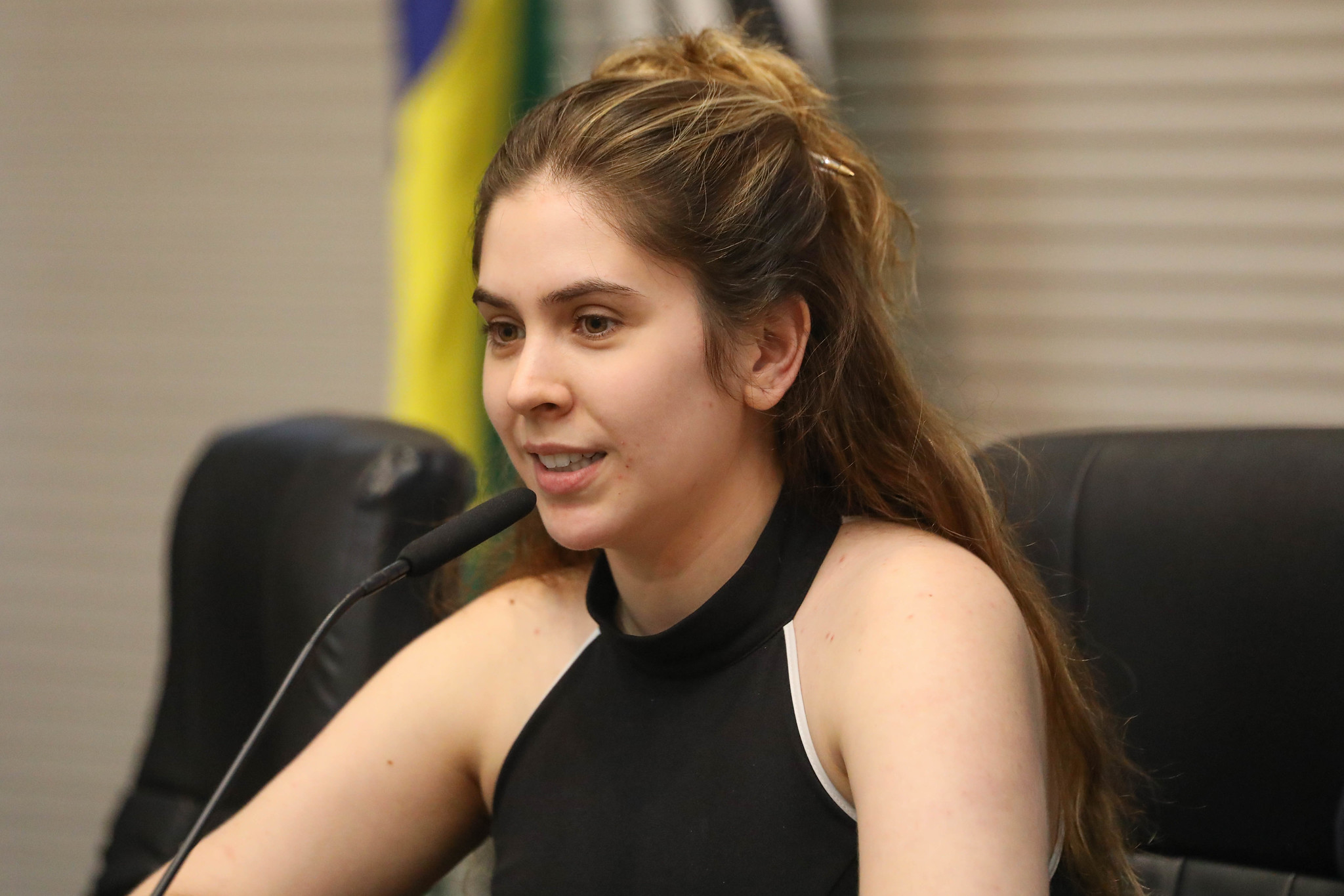 Comissão de Transportes da Alesp aprova nova diretora de investimentos ...