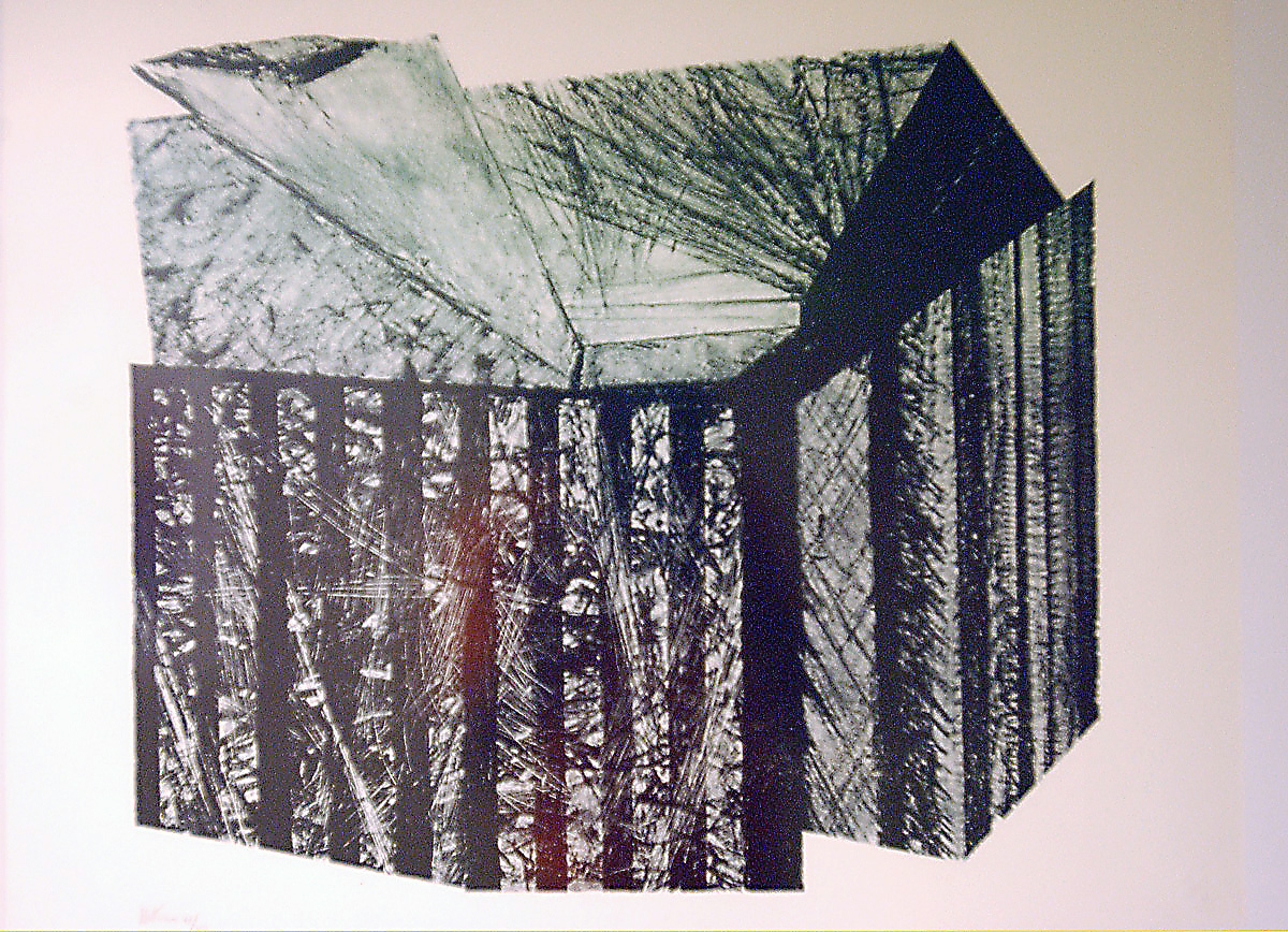 Museu de Arte: Maria Bonomi